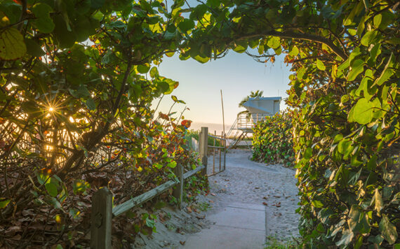 Top Things to Do | Jupiter/North Palm Beach | March & Beyond