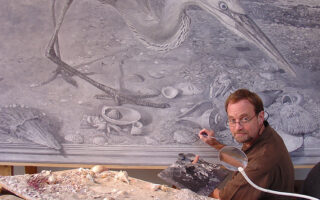 Christopher Still’s Clearwater Art Guide | Opal Collection