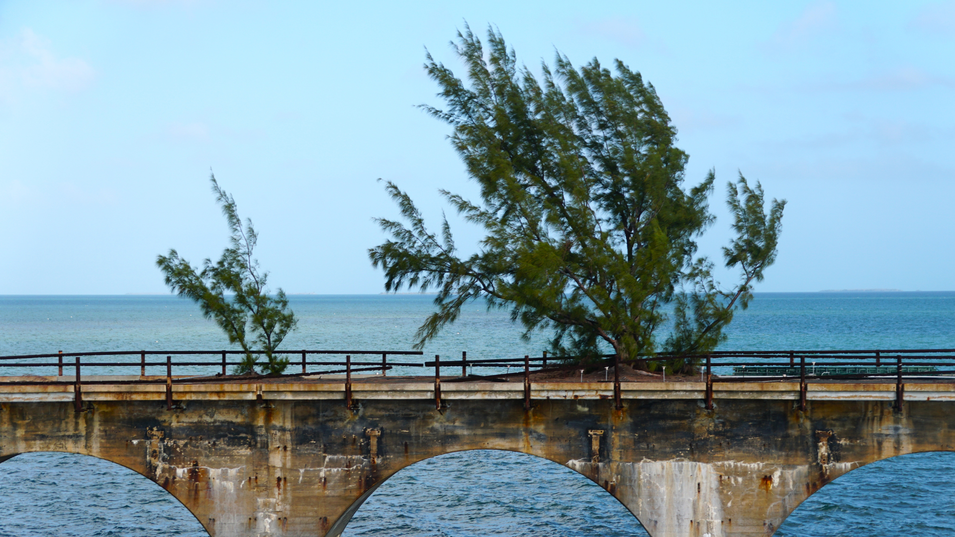 7 Ways to Enjoy Key West’s Historic Old Seven Mile Bridge