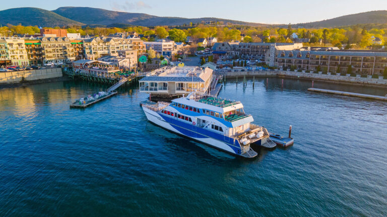Q&A With Bar Harbor Whale Watch Co. | Opal Collection