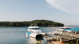 Q&A With Bar Harbor Whale Watch Co. | Opal Collection