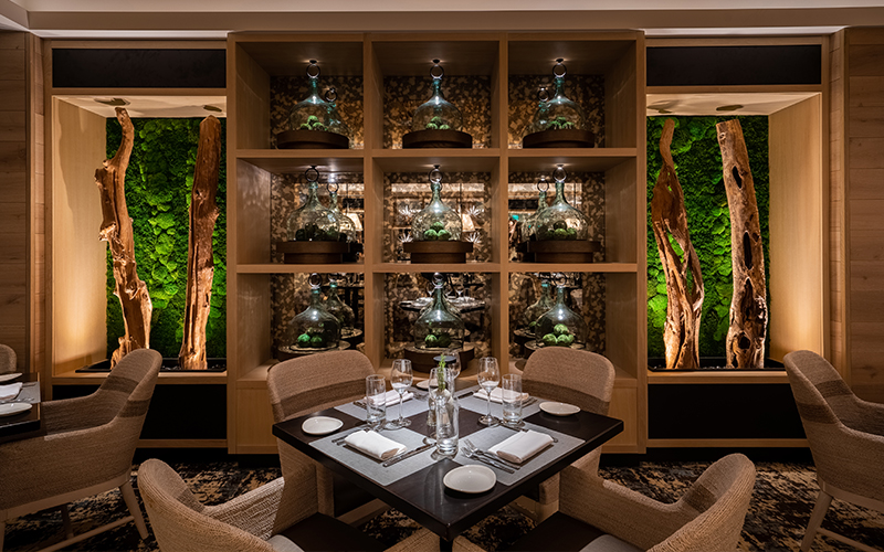 Latitudes | Opal Collection