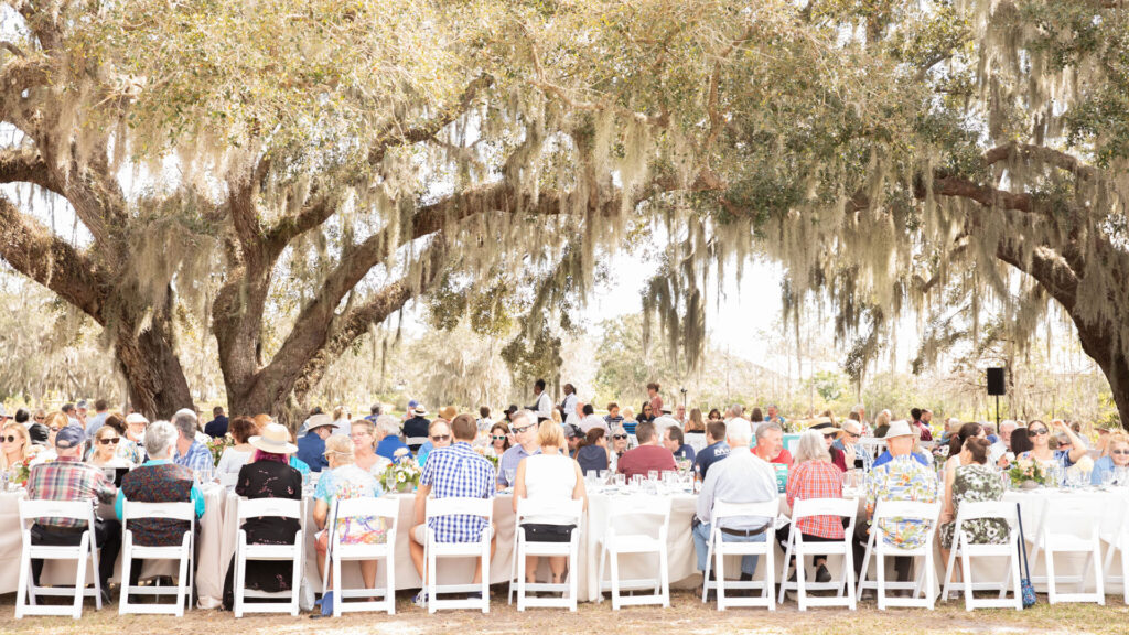 Top Things to Do in Sarasota, FL in Winter & Spring