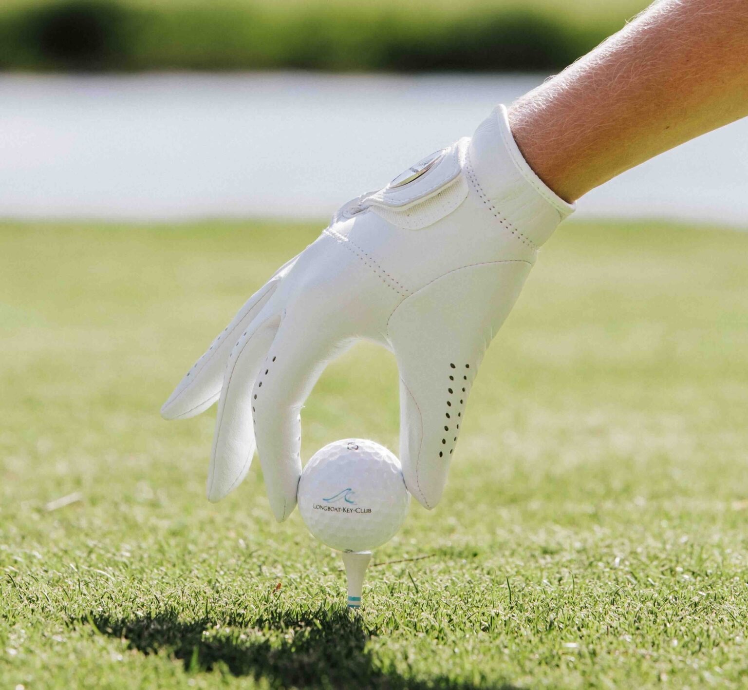 Sarasota Golf Course | Resort at Longboat Key Club