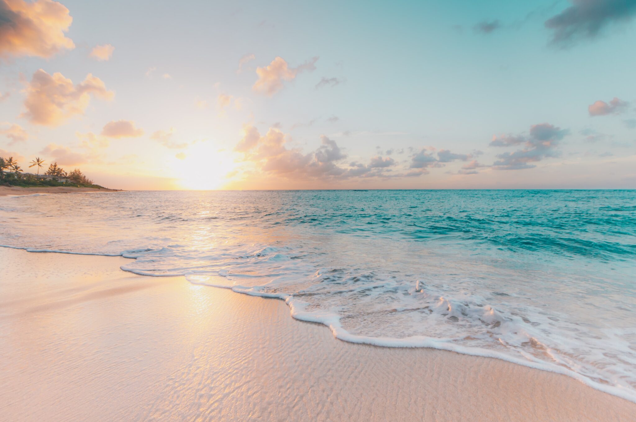 Longboat Key Experiences & Activities | Zota Beach Resort