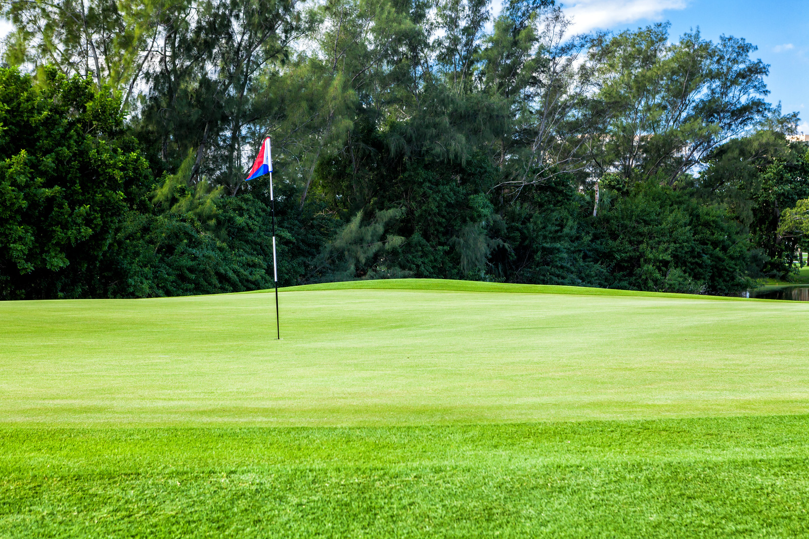 Things To Do In Delray Beach | Opal Grand Resort & Spa