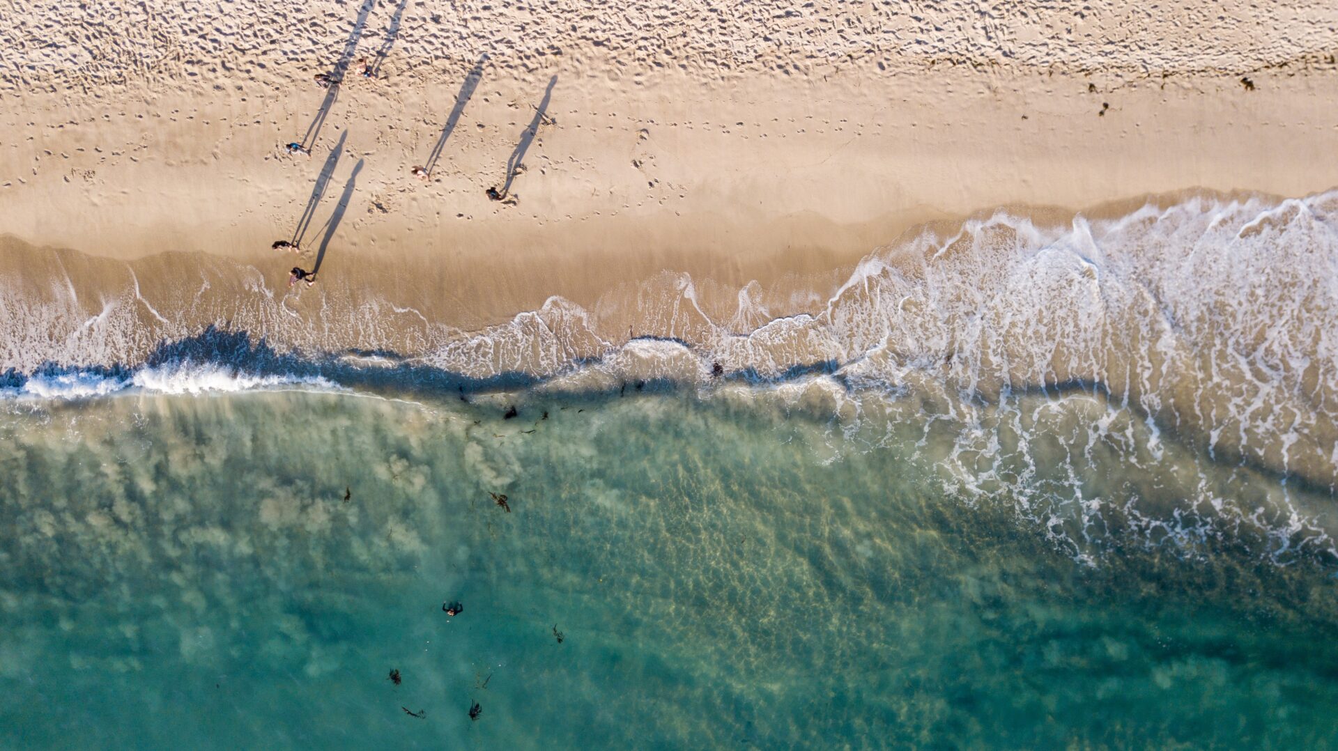 Hutchinson Island Jensen Beach, FL Things To Do | The Lucie